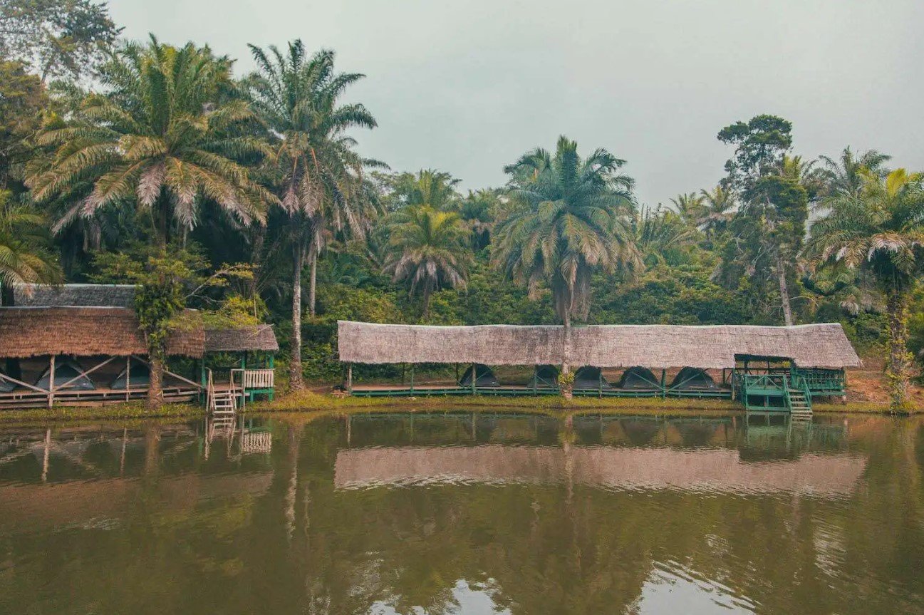 Magoroto Forest Estate | Tanzania Specialist