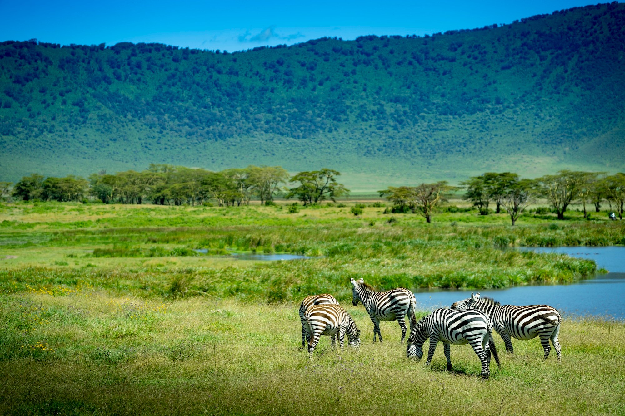 16 Tage Safari in Tansanias nördlichen Nationalparks mit Tanzania ...